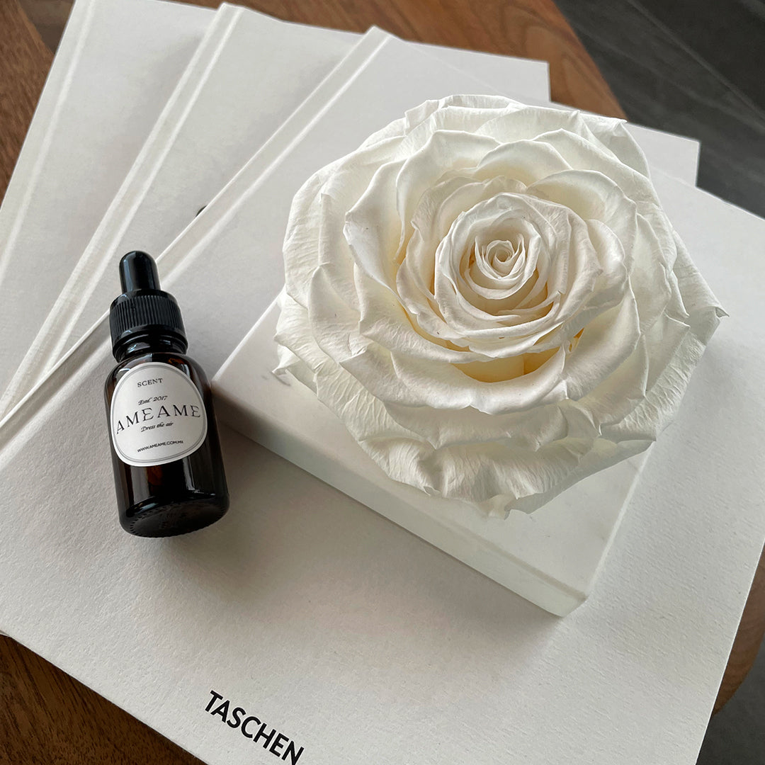 Rosa Preservada con Gotero Blanca Baby and Me - ameame